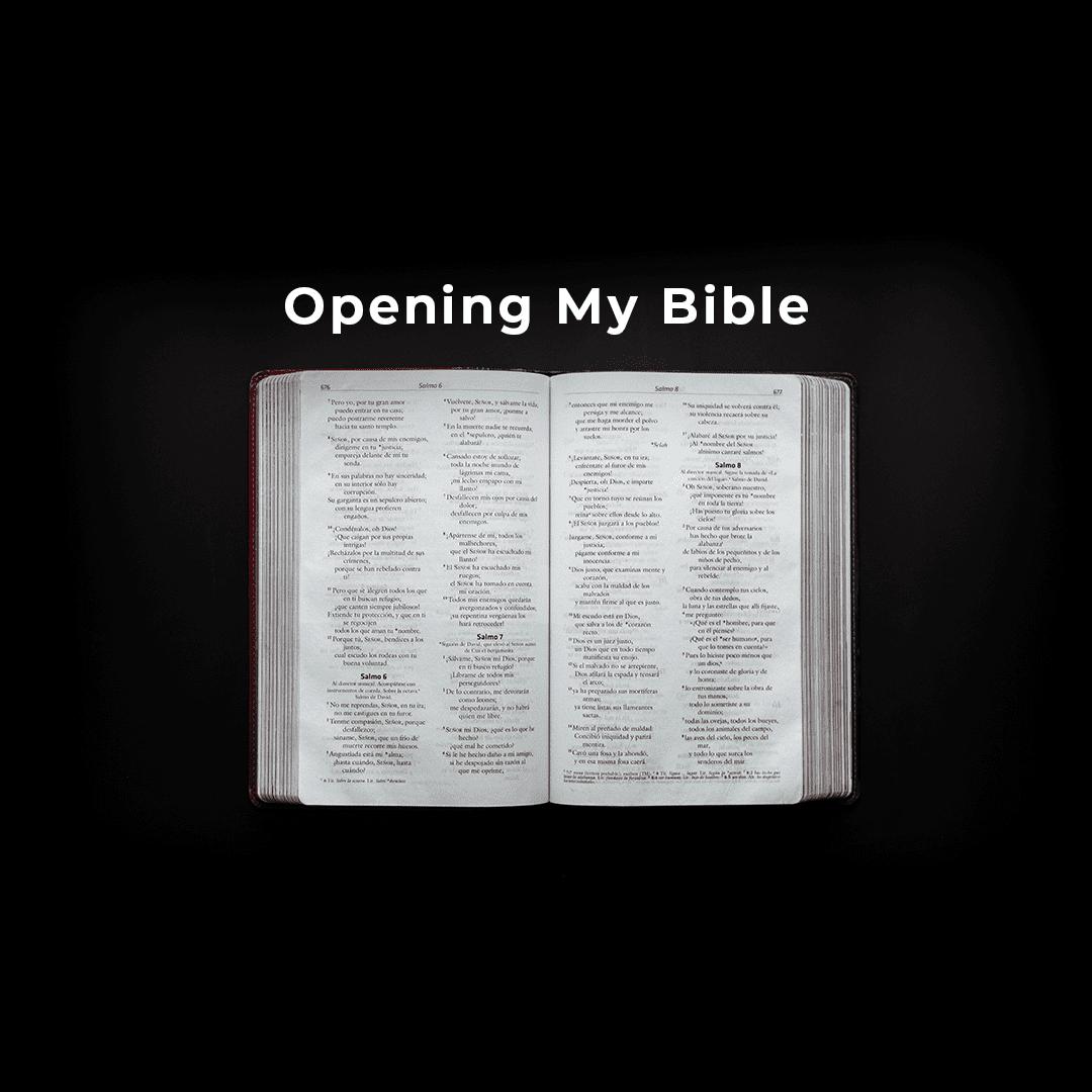 Podcast | Opening My Bible - St Nicholas Church